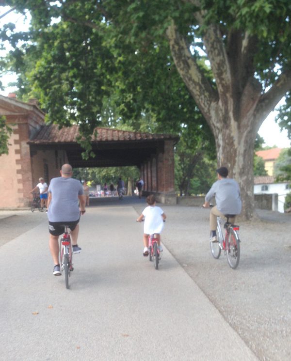 Libby Cataldi: Stay Close, A Mother's Story of Her Son's Addiction